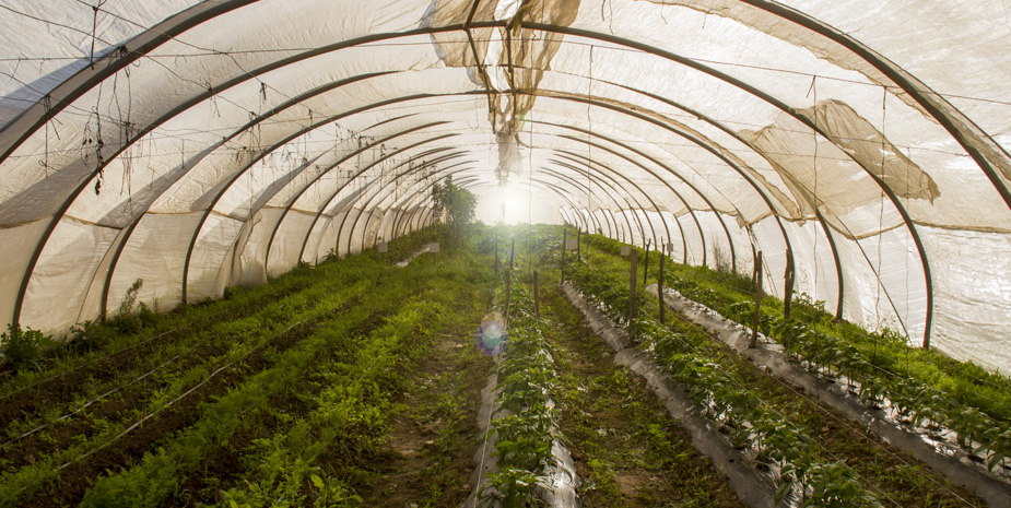 Akemrane, la ferme biologique & biodynamique – Oum Naturel