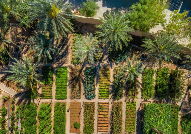 Oman Bio & Nature – Oum Naturel