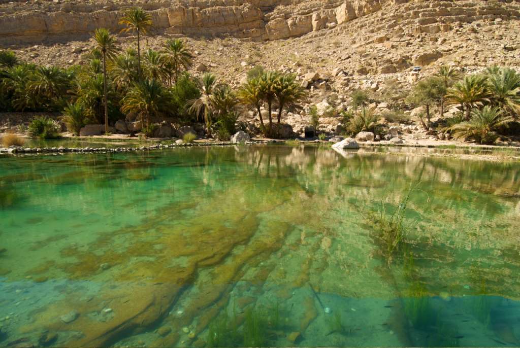 Oman Bio & Nature – Oum Naturel